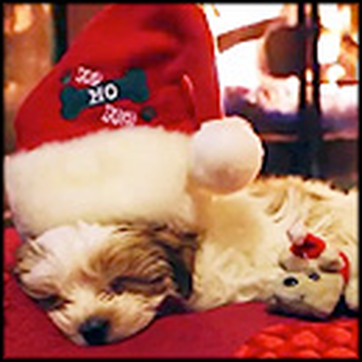 The Most Adorable Christmas in History - With a Puppy!