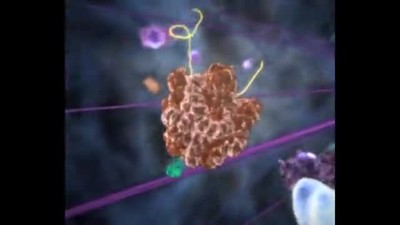 Molecular Biology Animations - Intelligent Design - Demo Clip
