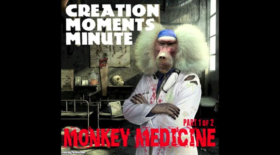 Monkey Medicine (Part 1 of 2) | Creation Moments Minute | GodTube.com