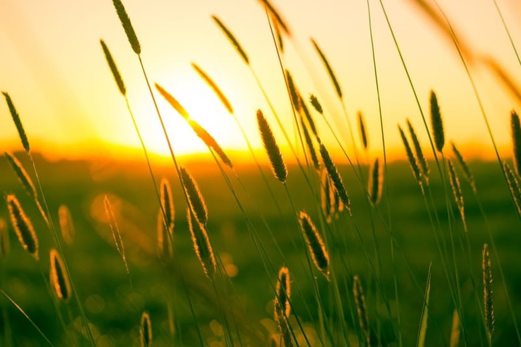 18 Bible Verses about Summer - Seasonal Scripture Quotes | Bible Study ...