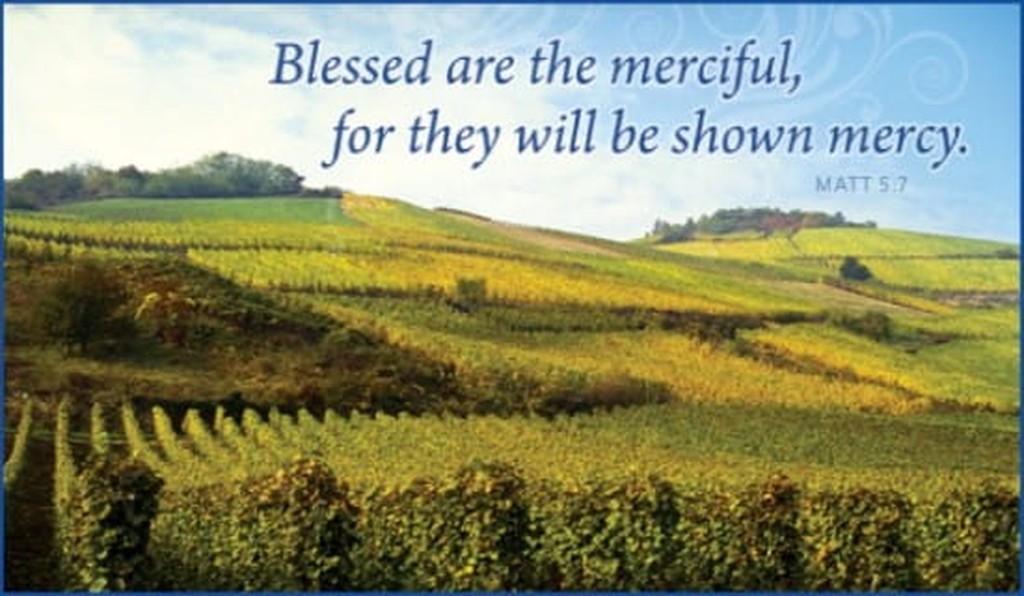 Matthew 5:5 - Blessed are the meek, for they will inherit the ea ...