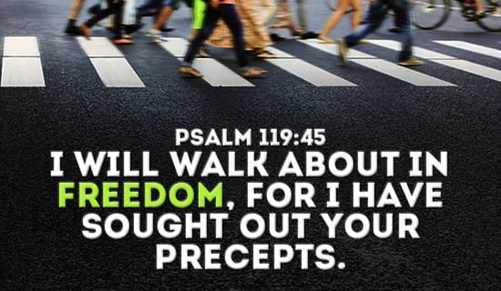 Psalm 119 Nlt Bible Study Tools Bible Study Tools