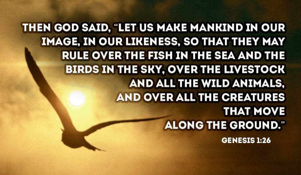 Genesis 1:26 - Then God said, “Let us make mankind in our image ...