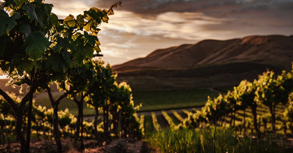 What Is Jesus’ Message in the Parable of the Evil Tenants? - Topical ...