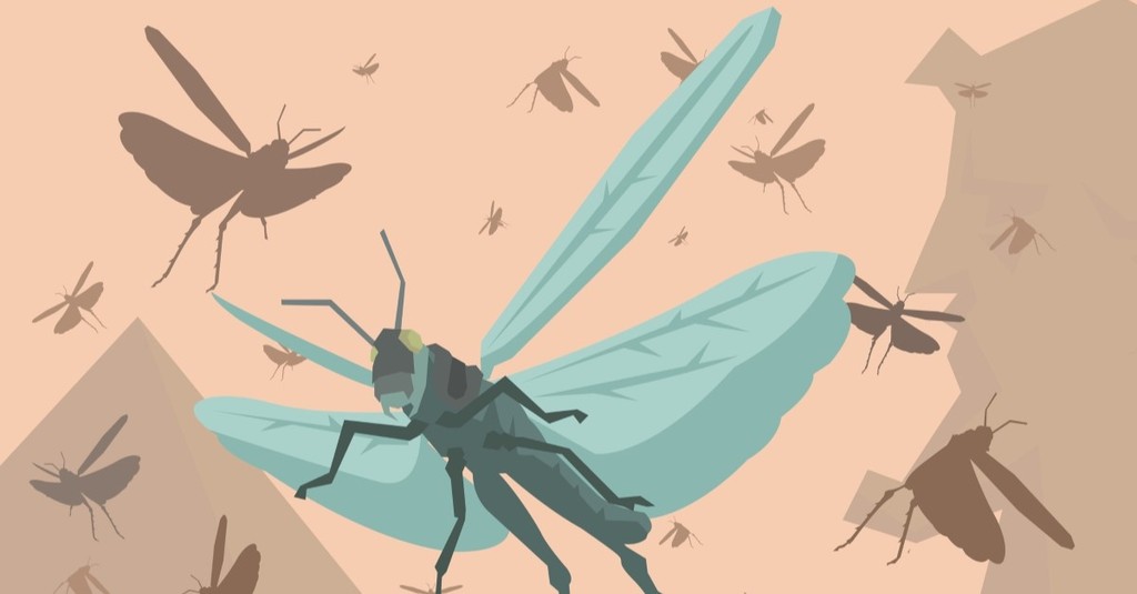 What Should Christians Know about the Locusts in Revelation? - Topical ...