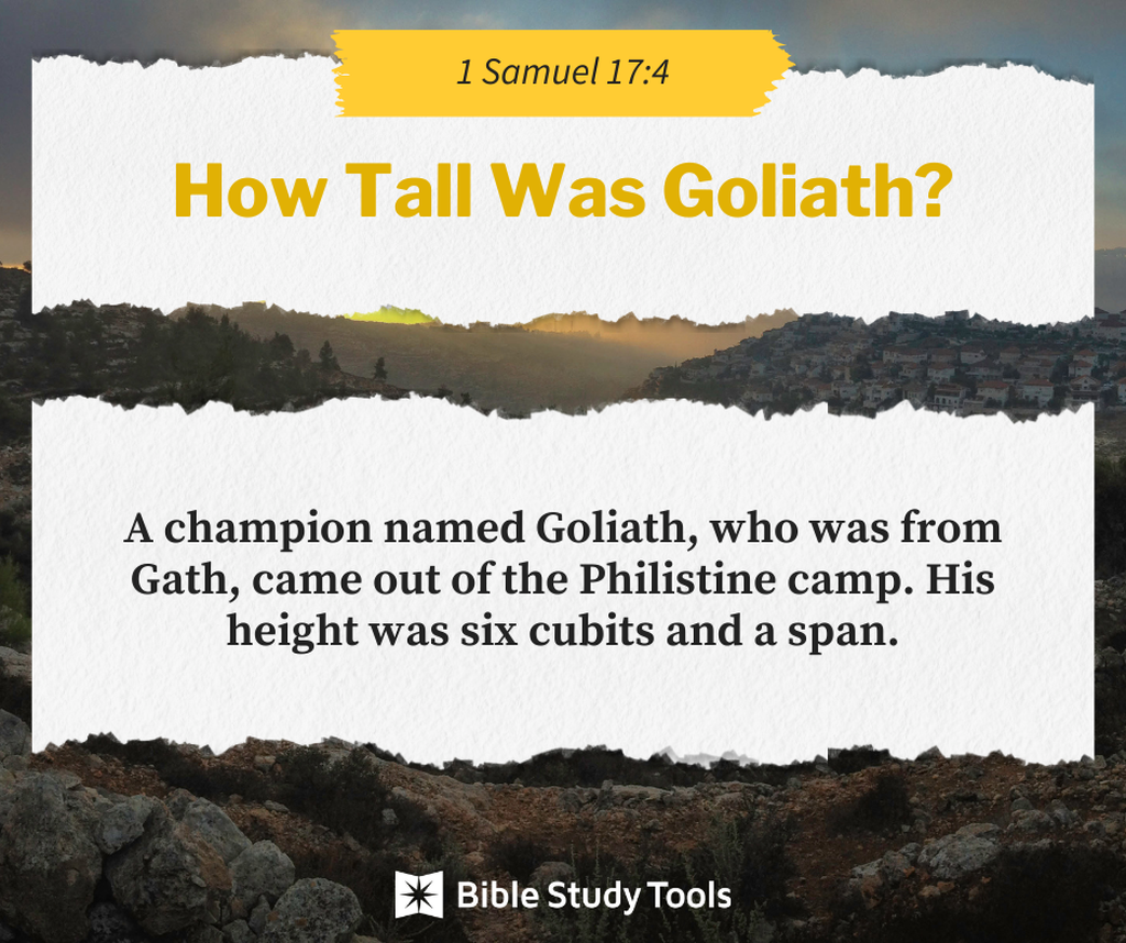 The Top Bible Verses about Curses in Scripture | Bible Study Tools