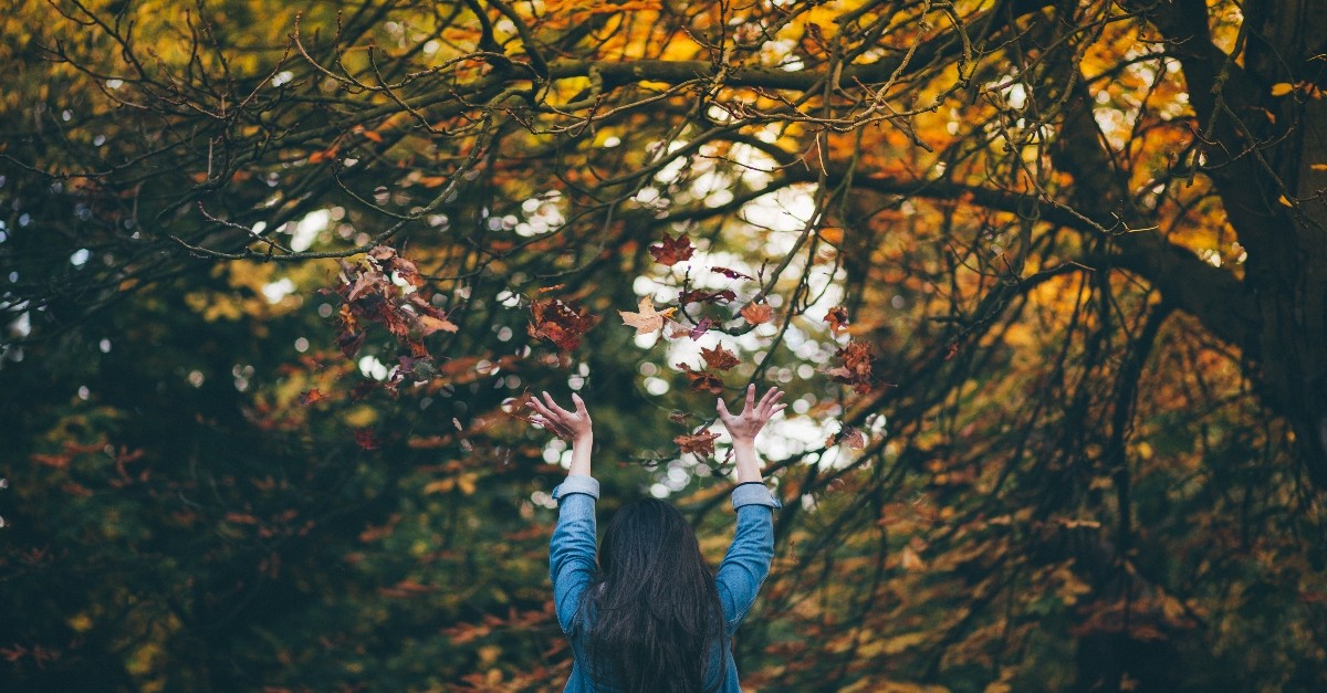 5 Beautiful Things We Can Learn from Autumn - Explore the Bible