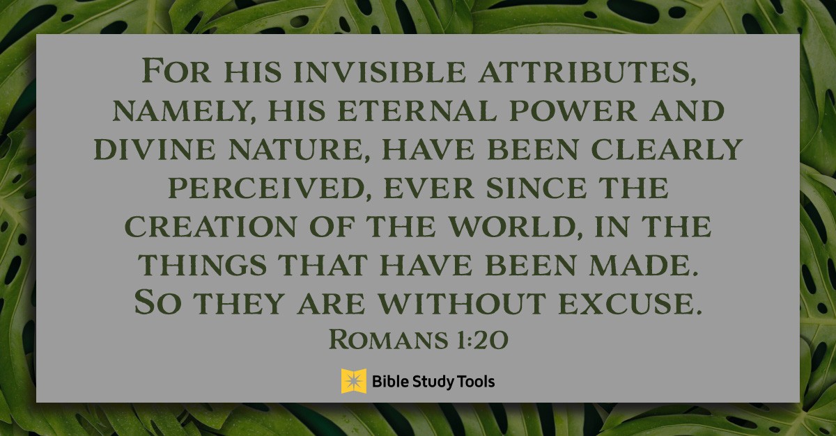 Finding God in Creation (Romans 1:19-20) - Your Daily Bible Verse ...