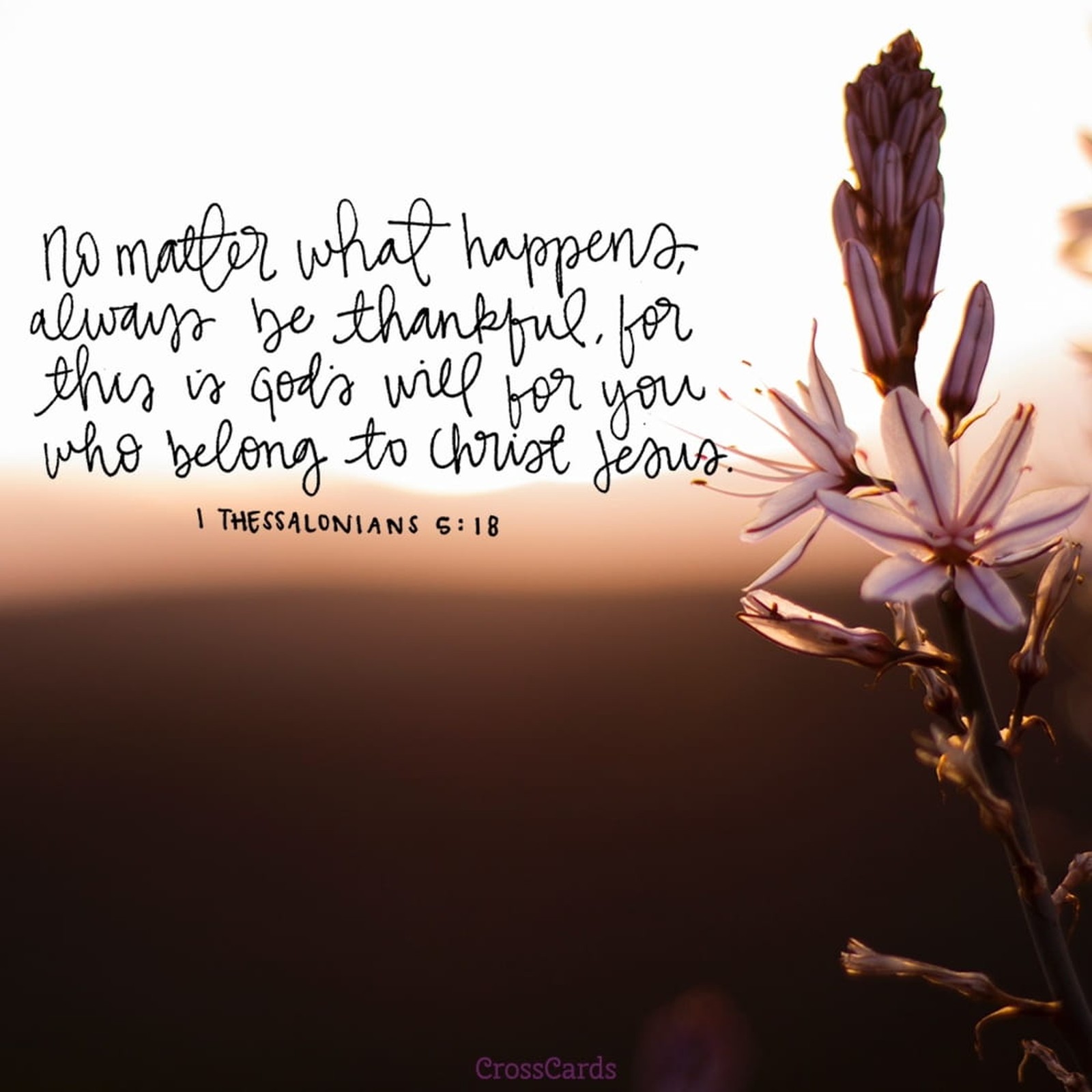 1 Thessalonians 5:15 - Make sure that nobody pays back wrong for wrong ...