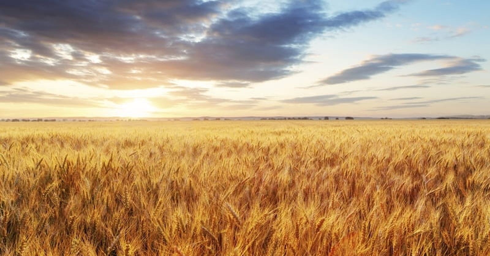 15 Things You Need to Know About Angels - Topical Studies | Bible Study ...