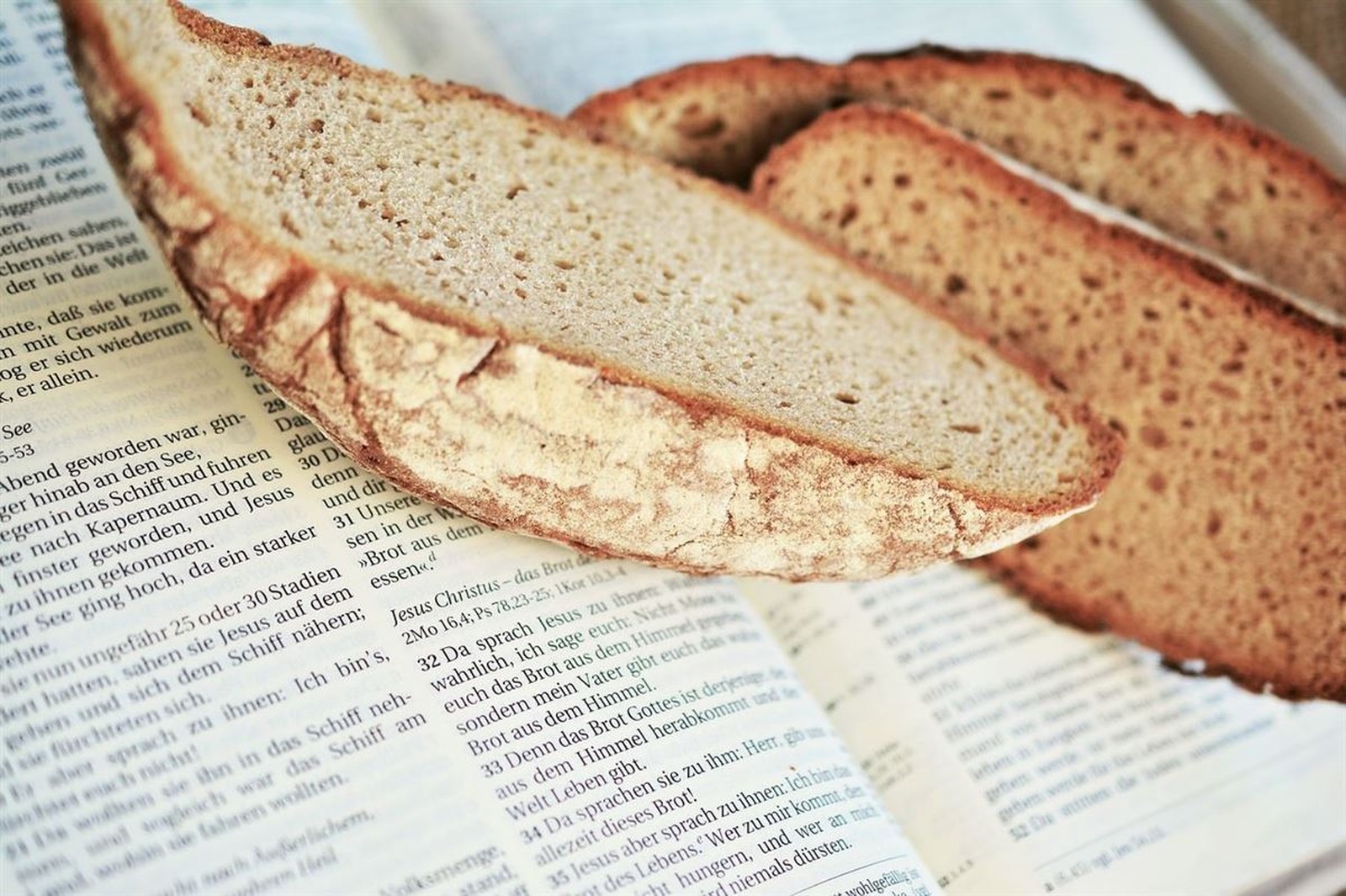 Daily Bread Bible Verses - Meaning and Quotes from Scripture | Bible ...