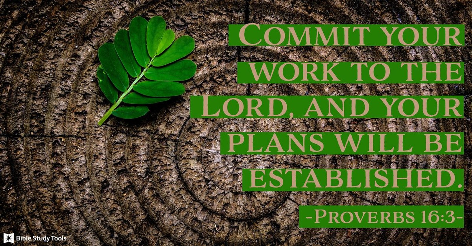 23 Encouraging Verses for Families of a Child with a Disability ...