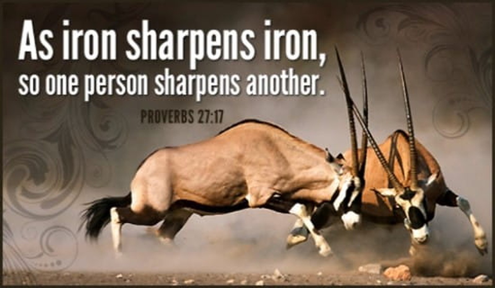 Proverbs 27:17 - BSB - As iron sharpens iron, so one man sharpens another... | Bible Study Tools