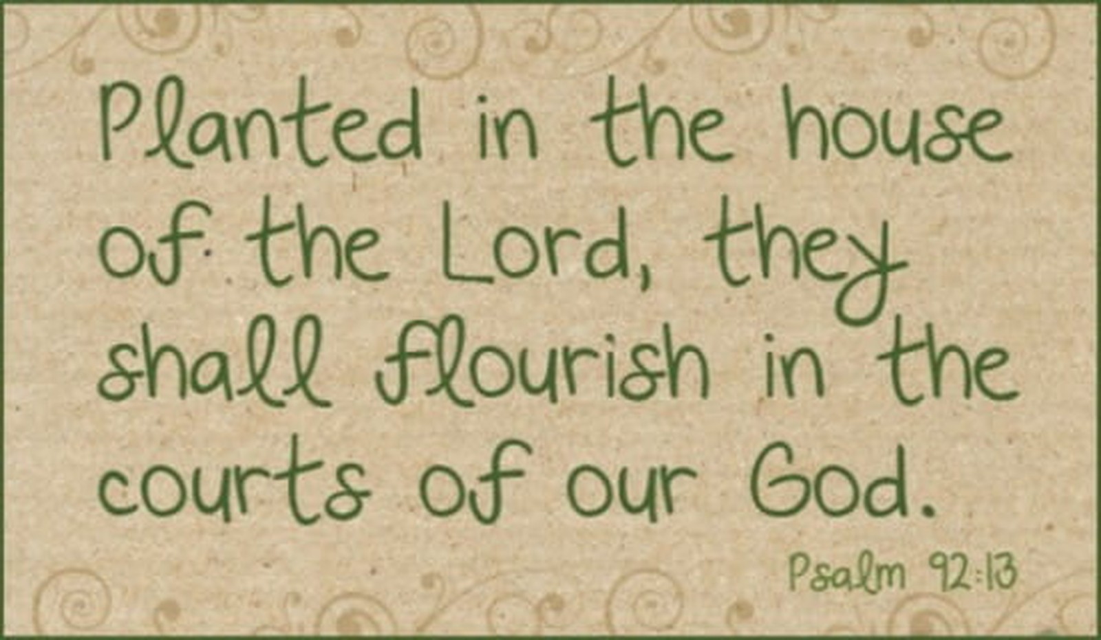 Psalm 92:12 - The righteous will flourish like a palm tree, they ...