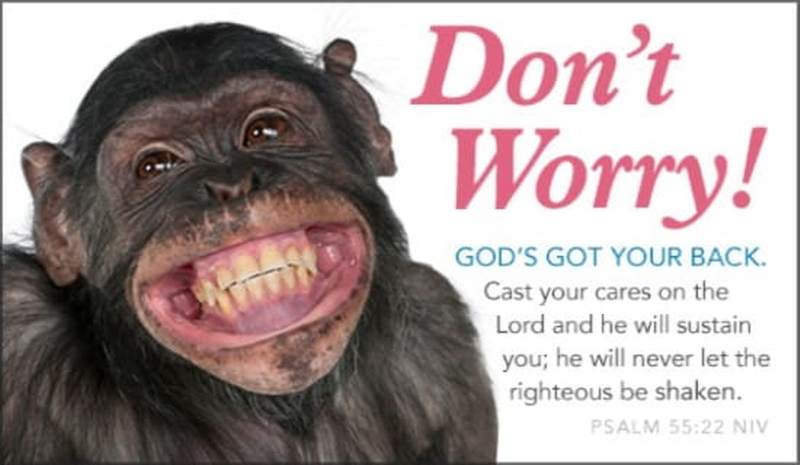 Psalm 55:17 - Evening, morning and noon I cry out in distress, a ...