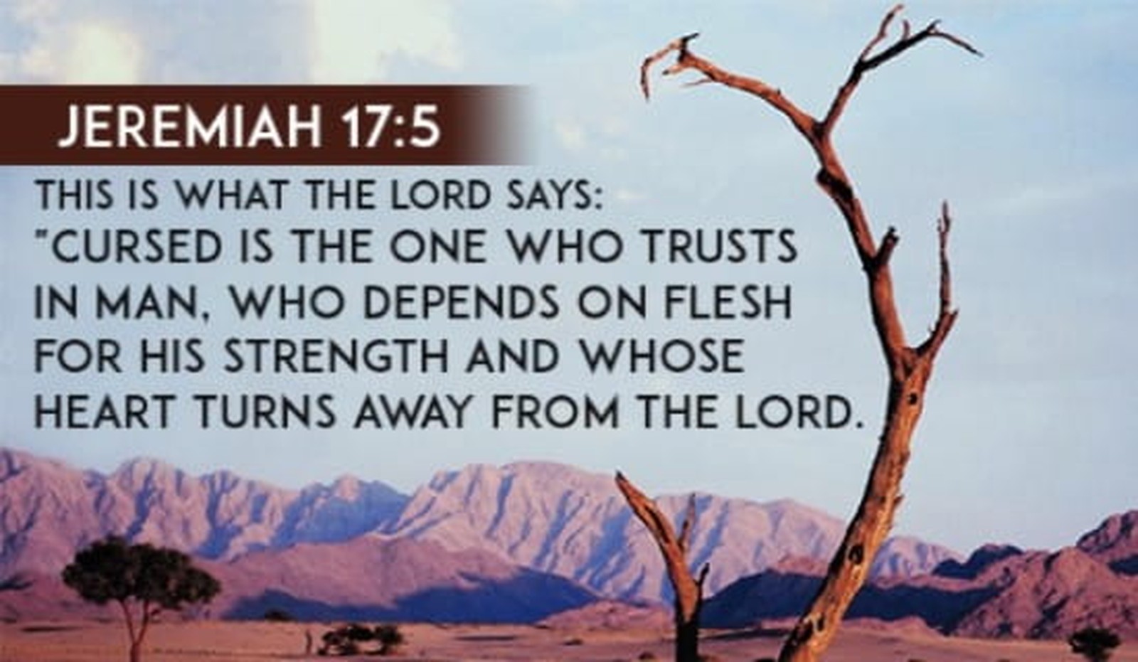 Jeremiah 17:7 - “But blessed is the one who trusts in the LORD, wh ...