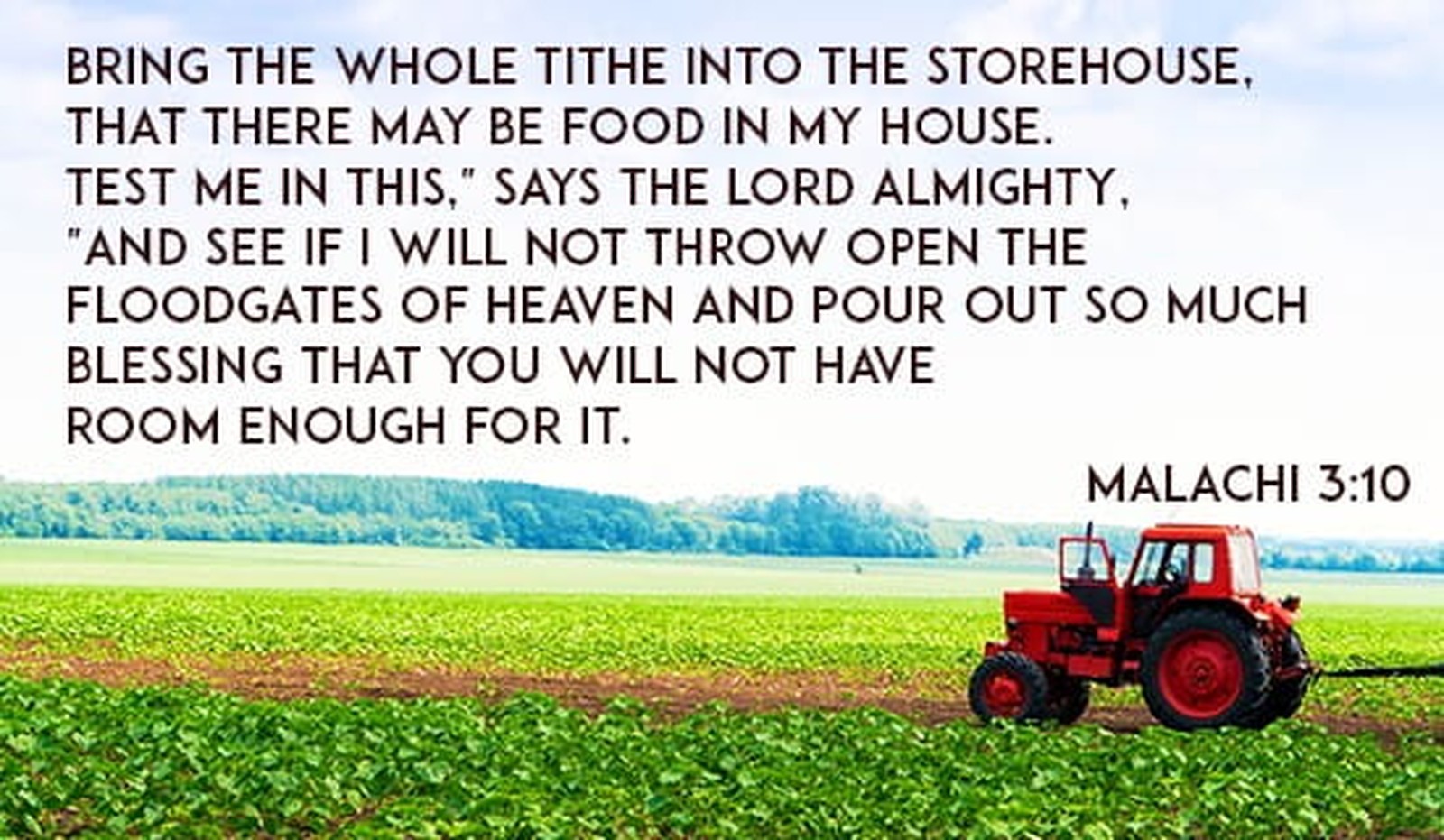 Malachi 3:8 - “Will a mere mortal rob God? Yet you rob me. “But ...