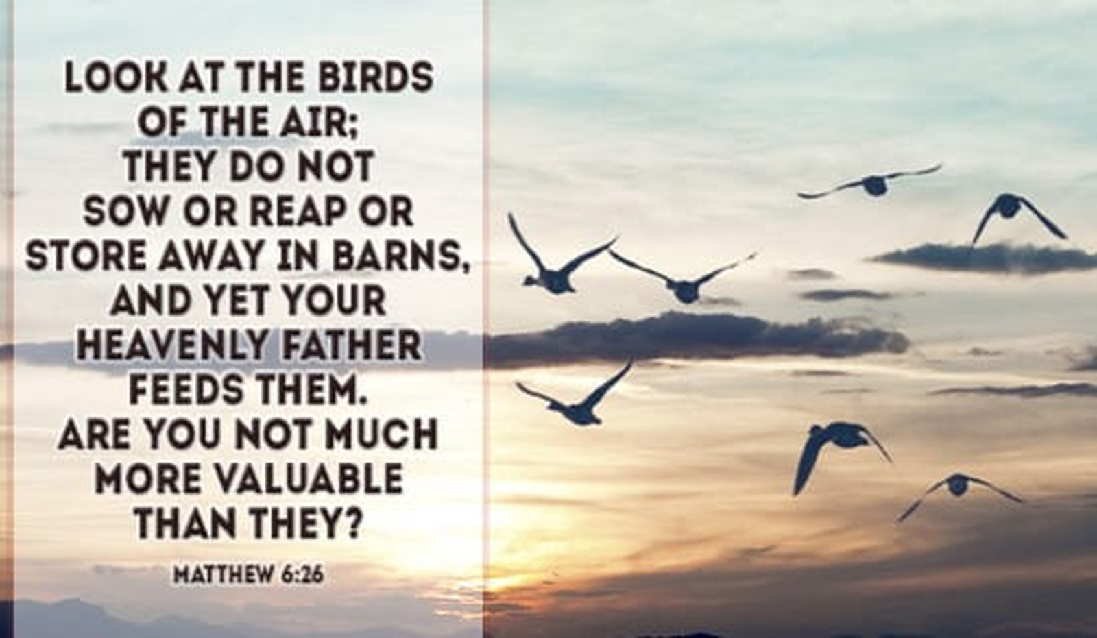 Matthew 6 KJV - "Take heed that ye do not your alms before men, to ...