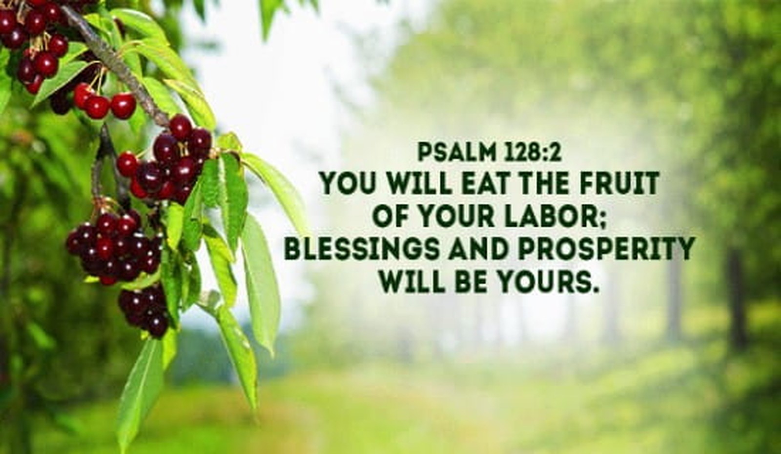 Psalm 128 - NIV - Blessed are all who fear the LORD, who walk in obe ...