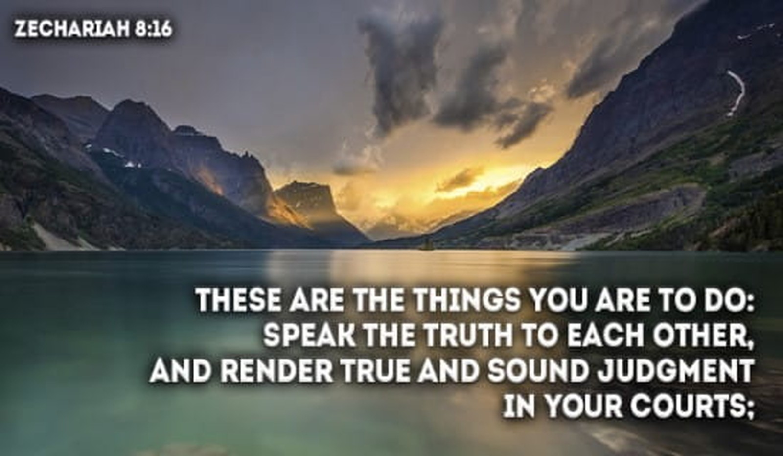 Zechariah 8 - NIV - The word of the LORD Almighty came to me ...