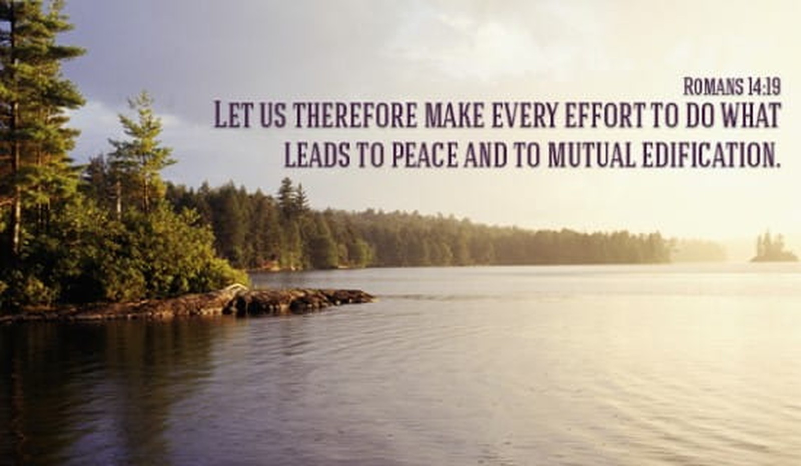 Romans 14 - NIV - Accept the one whose faith is weak, without quarre ...