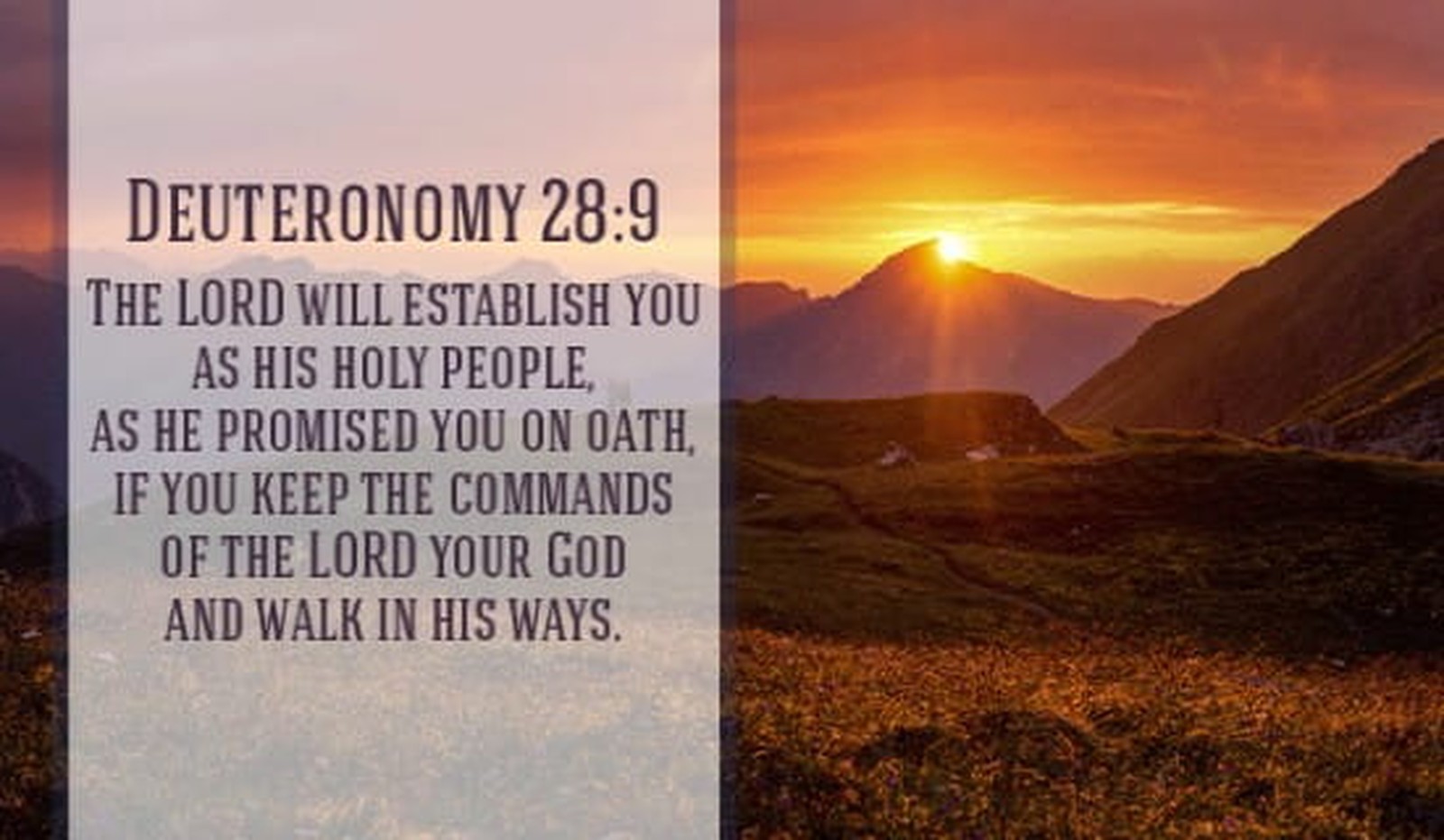 The Top Bible Verses about Curses in Scripture | Bible Study Tools