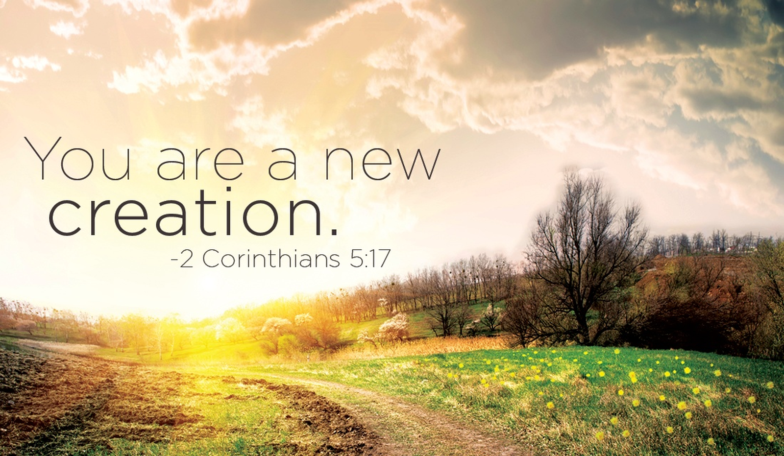2 Corinthians 5:17 - Therefore, if anyone is in Christ, the new creatio ...