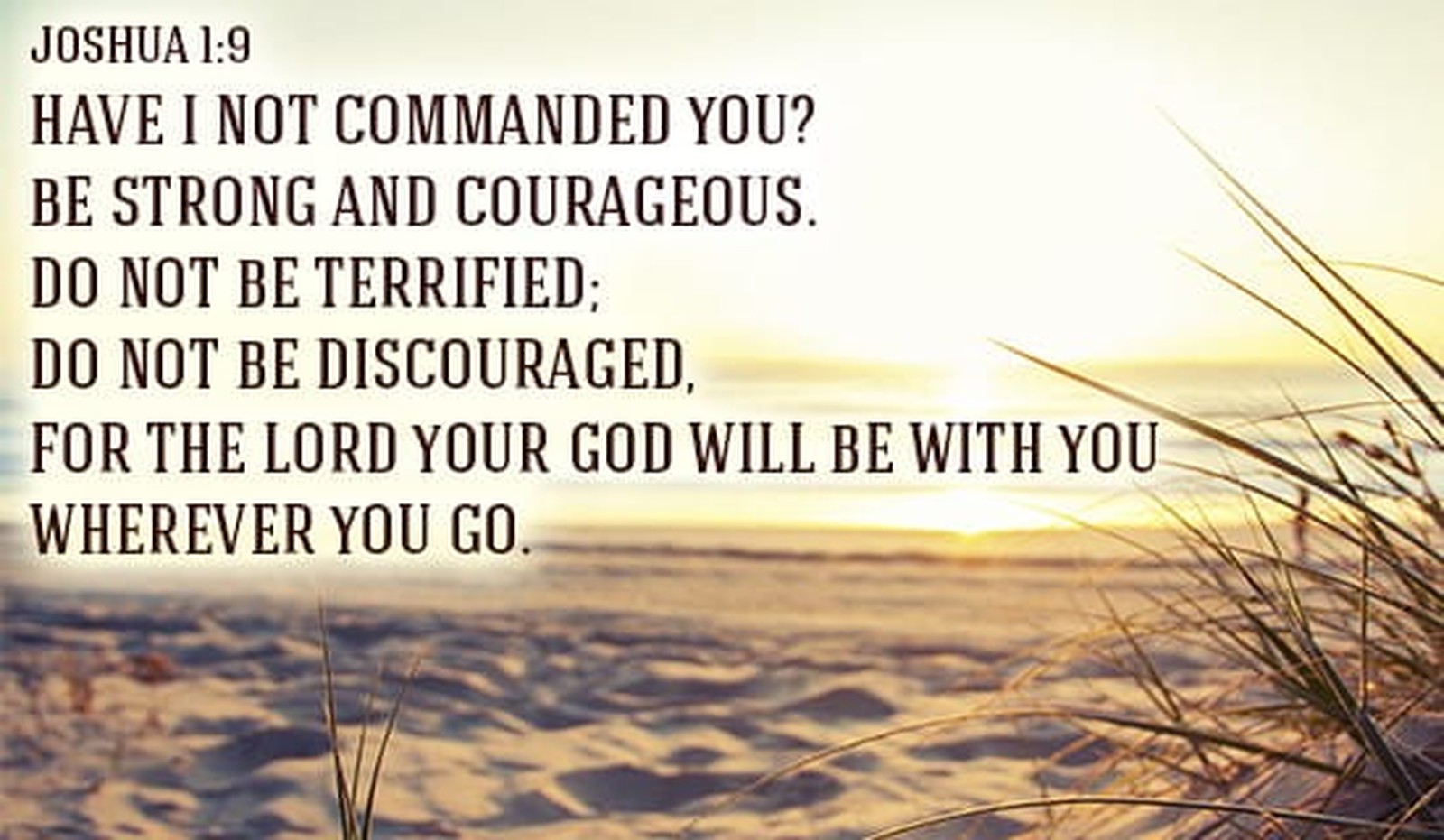 Deuteronomy 31:6 - Be strong and courageous. Do not be afraid or terr ...