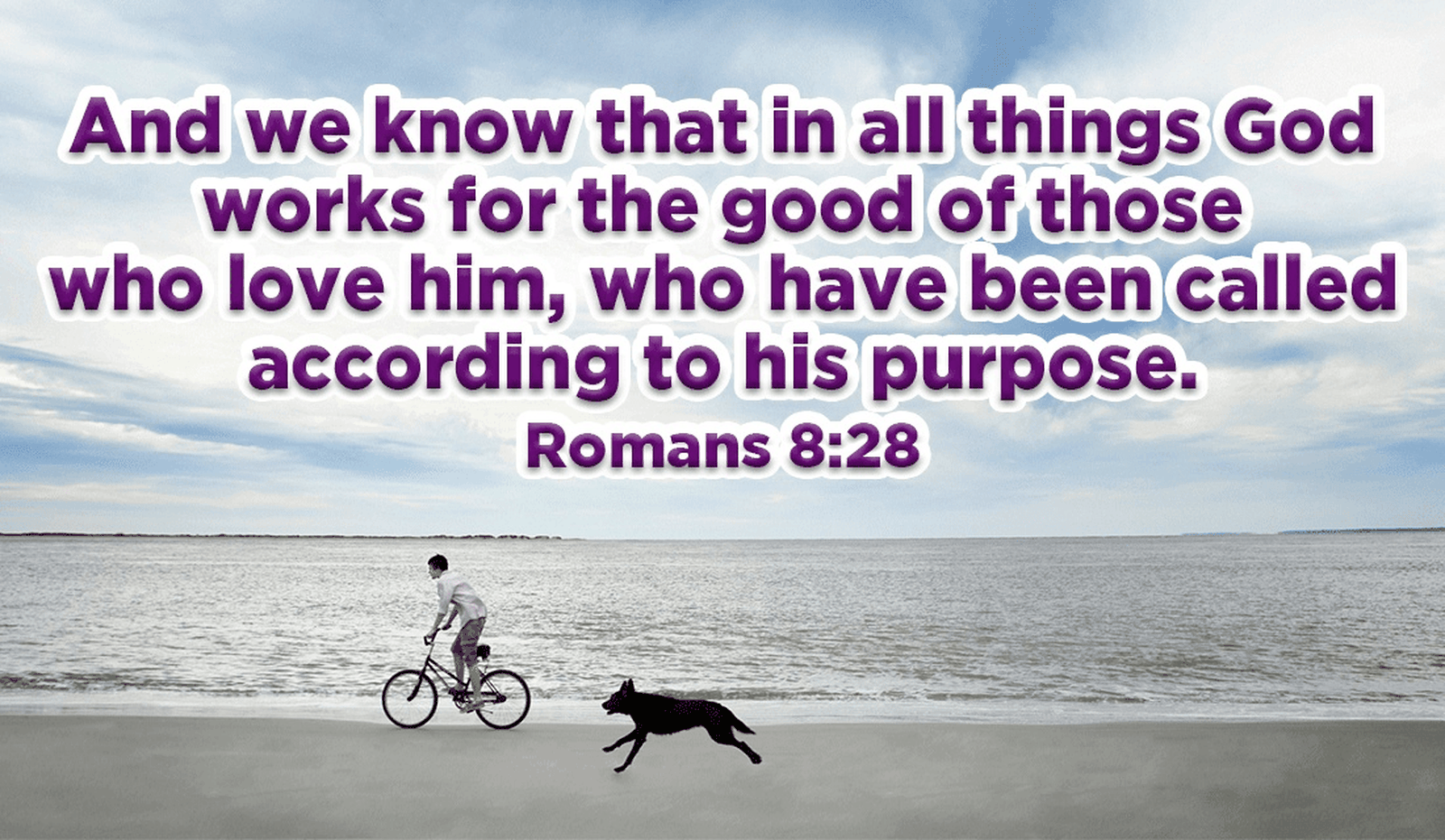 Romans 8:28 - NLT - And we know that God causes everything to work tog ...