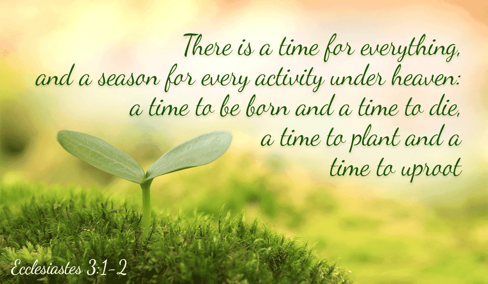 The Top Bible Verses about God's Timing in Scripture | Bible Study Tools