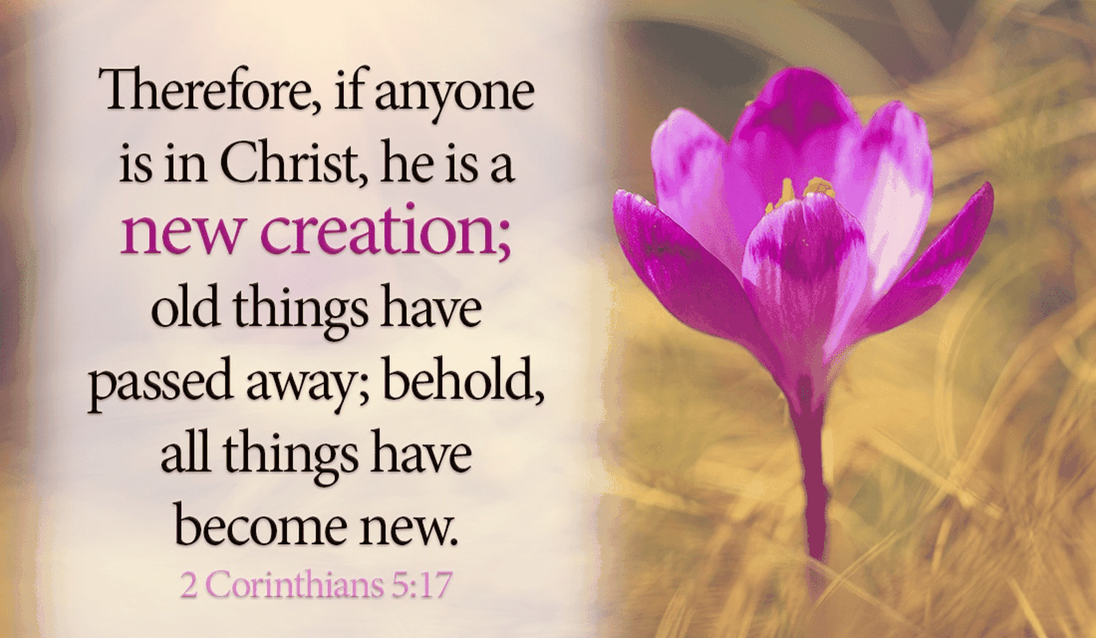 2 Corinthians 5:17 NKJV - "Therefore, if anyone is in Christ, he is a ...