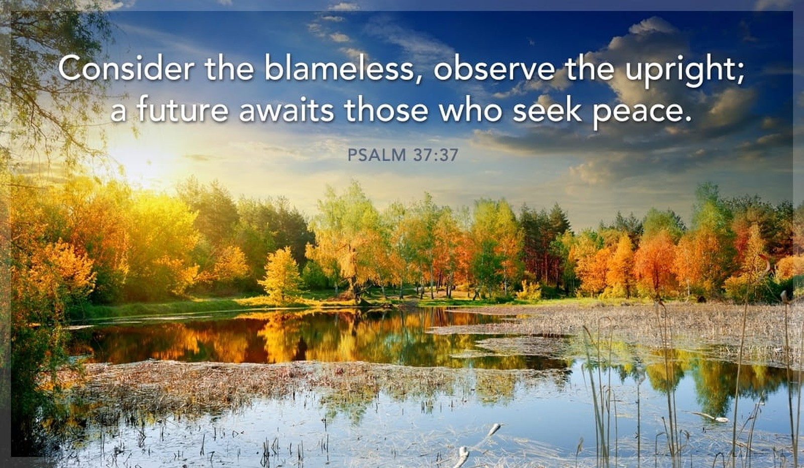 20 Bible Verses about Destiny - Inspiring Scripture Quotes | Bible ...