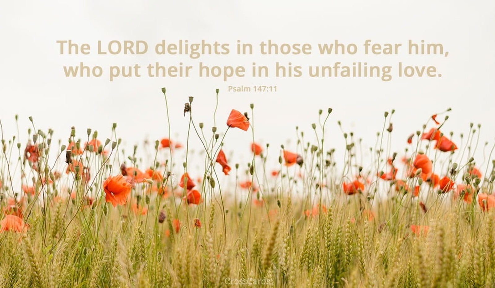 Psalm 147 KJV - "Praise ye the LORD: for it is good to sing praises ...