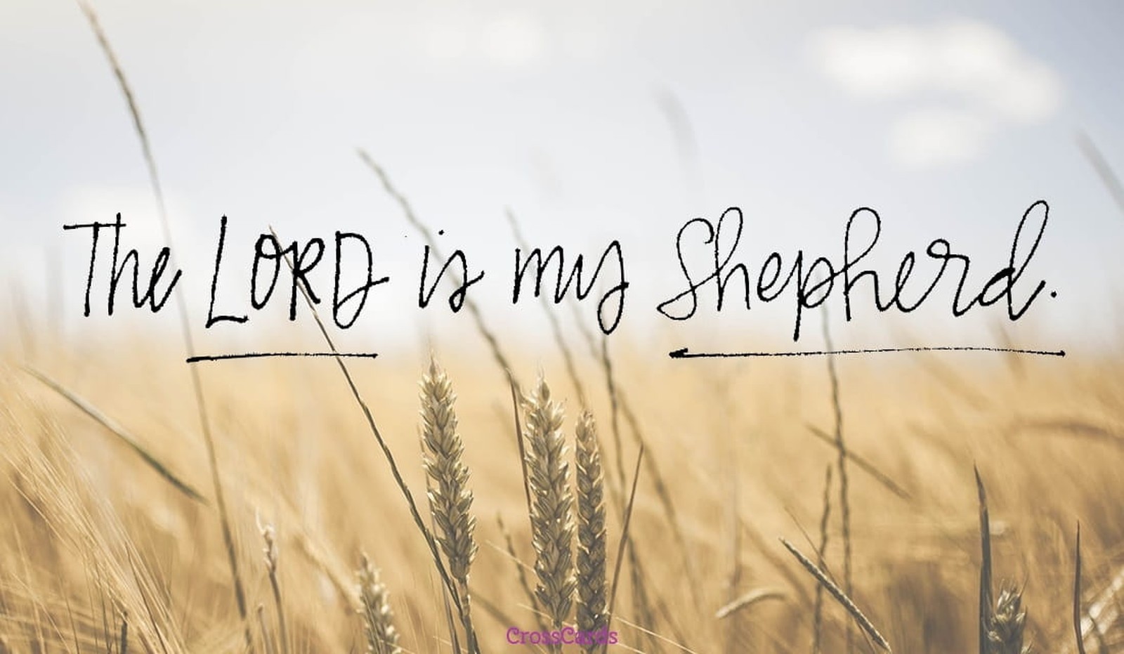 Psalm 23 NKJV - "A Psalm of David. The Lord is my shepherd; I shall ...