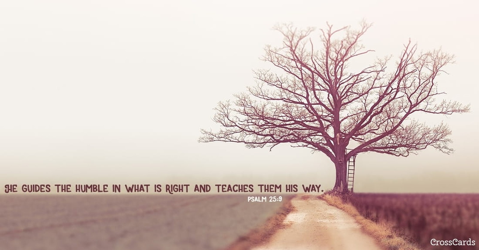 Bible Verses About Ethics - 30+ Inspiring Quotes | Bible Study Tools