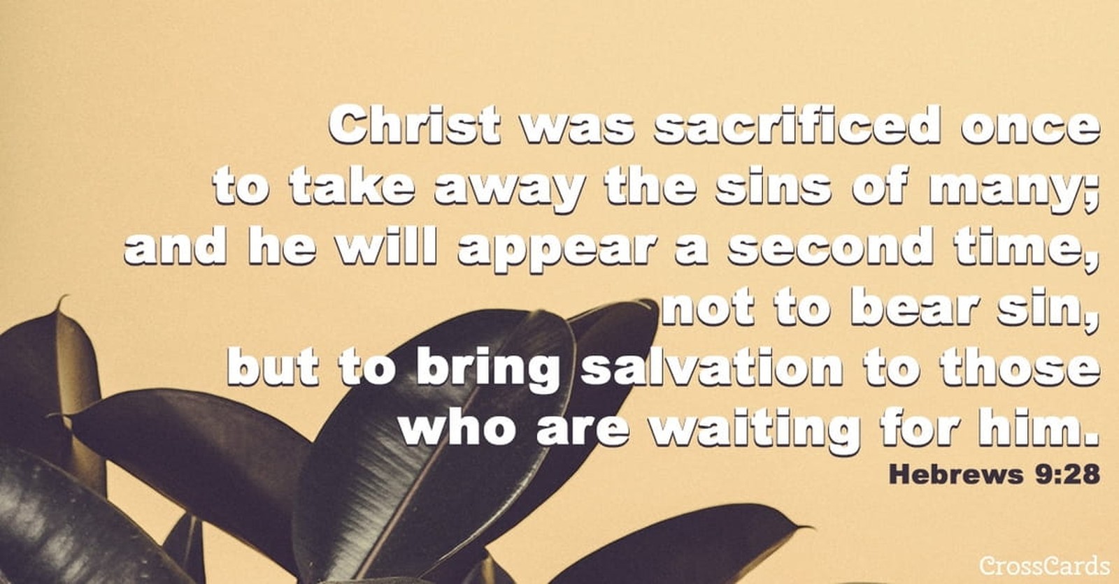 30+ Bible Verses about Sanctification - Powerful Scripture Quotes ...