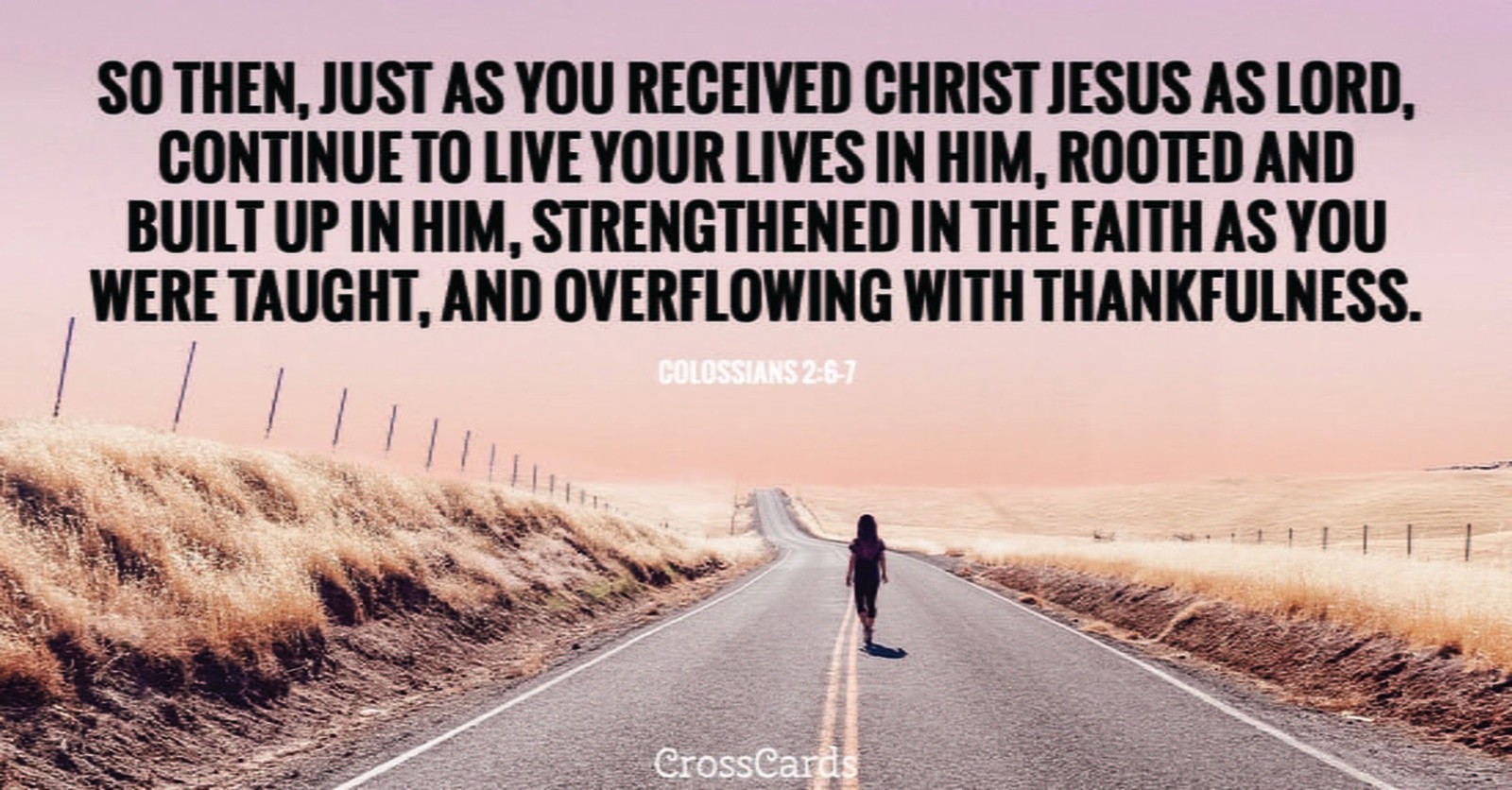 Colossians 2 NKJV - "For I want you to know what a great conflict I hav ...