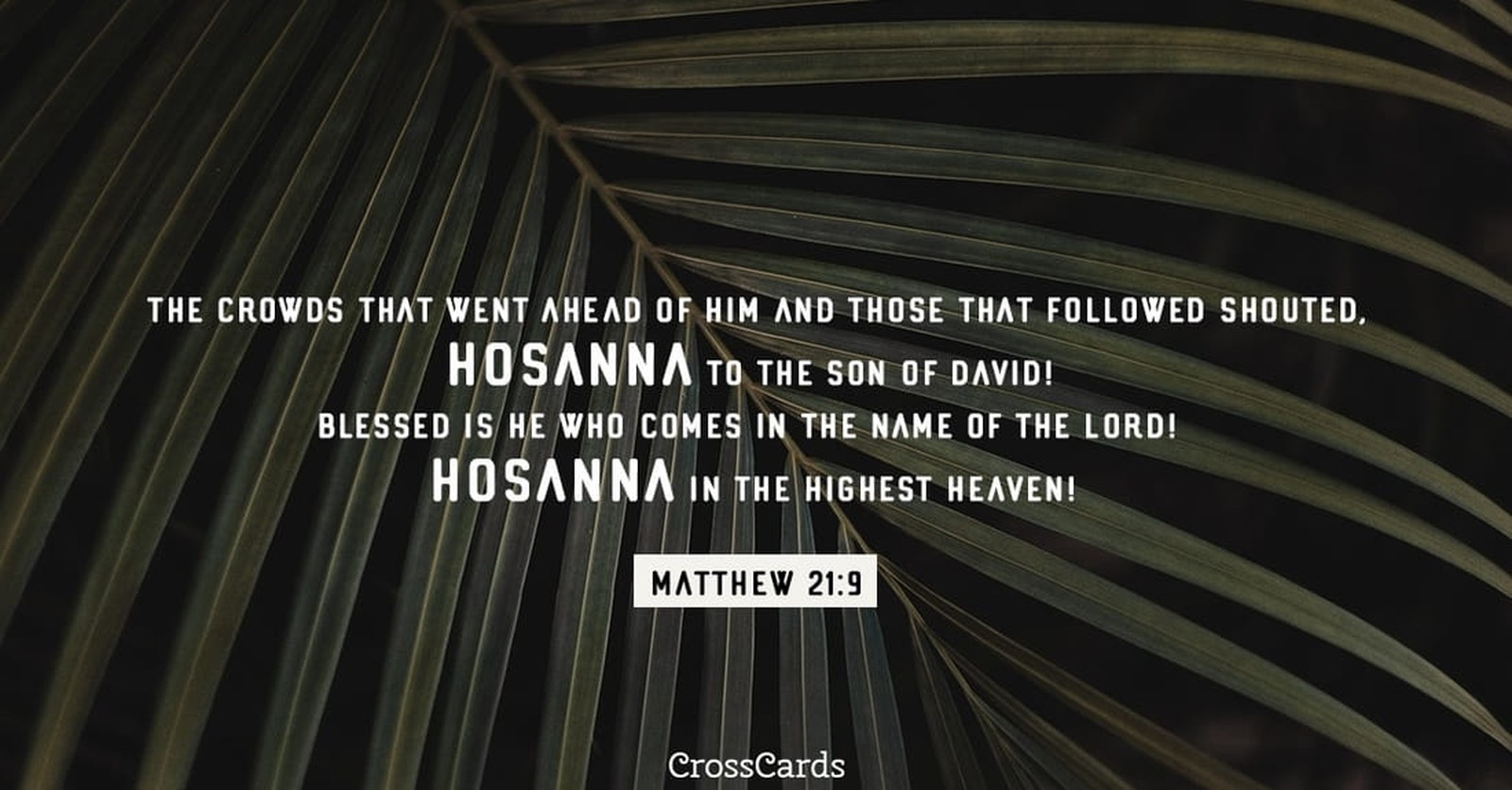 Matthew 21:42 - Jesus said to them, “Have you never read in the Sc ...