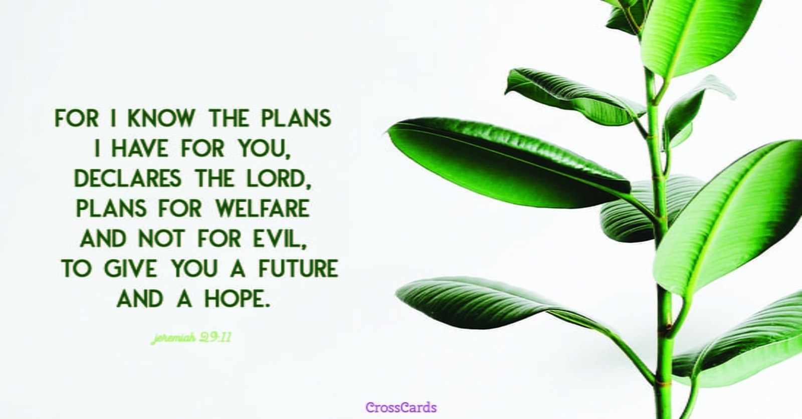 Jeremiah 29 - NIV - This is the text of the letter that the prophet Je ...