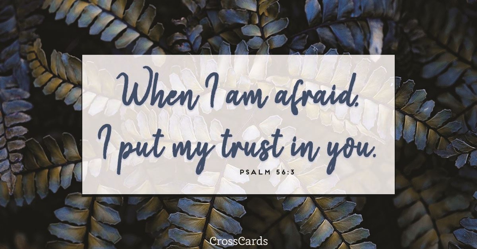 Psalm 56:3 - When I am afraid, I put my trust in you.... | Bible Study ...