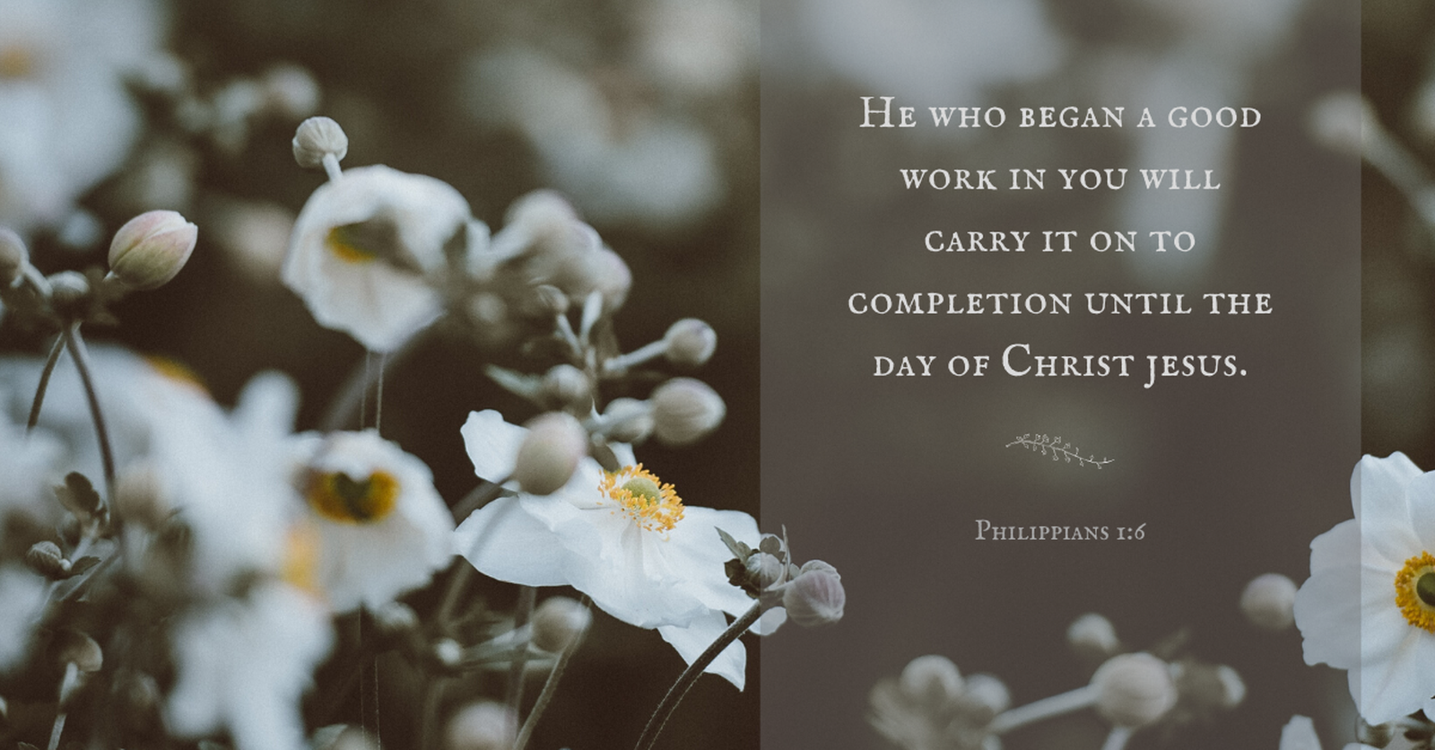 Philippians 1:6 - being confident of this, that he who began a good ...