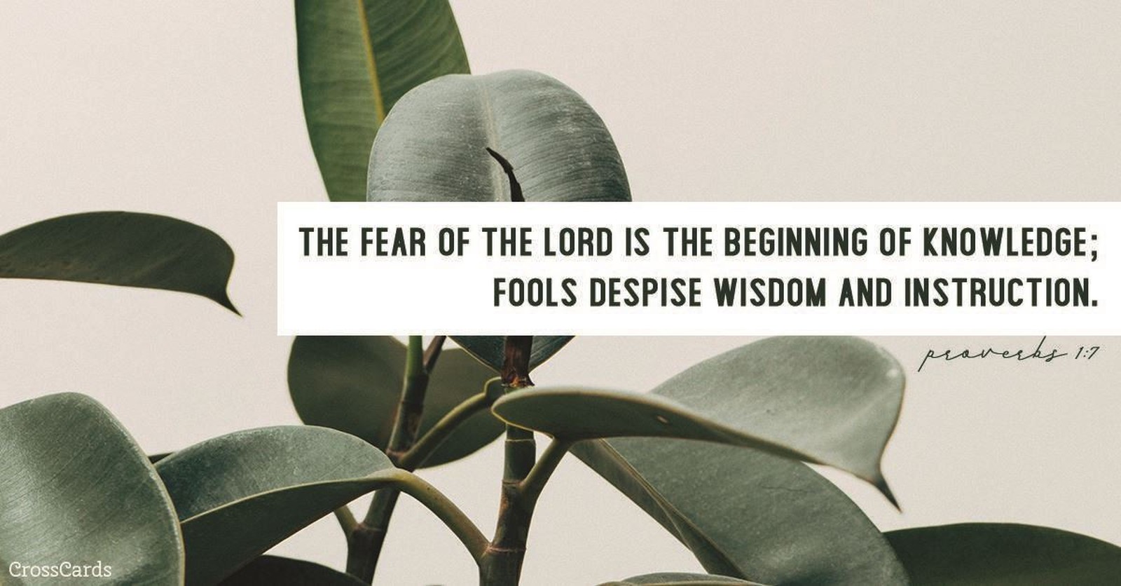 Top 21 Wisdom Bible Verses – Enlightening Scripture Quotes | Bible ...