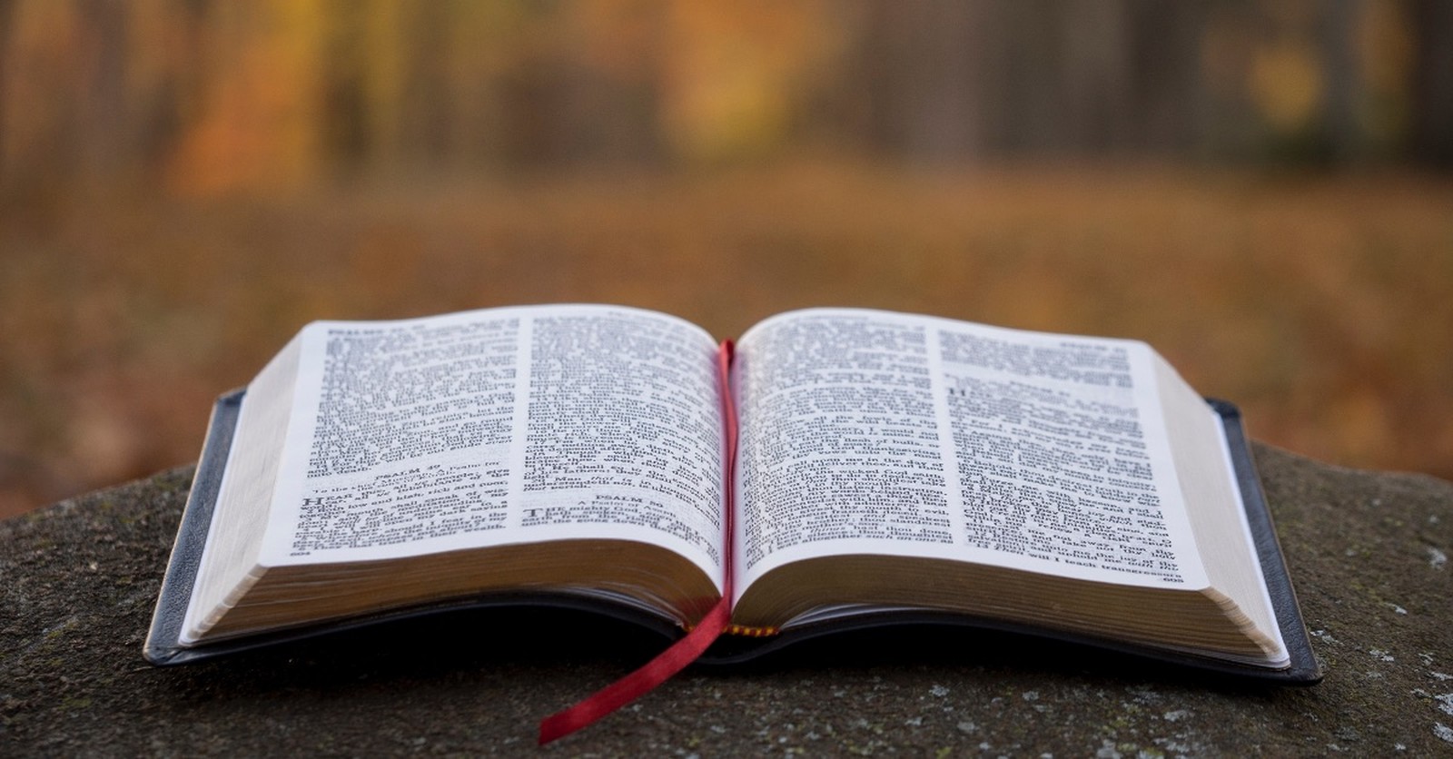 What Are the Three Parts of the Trinity? - Topical Studies | Bible ...