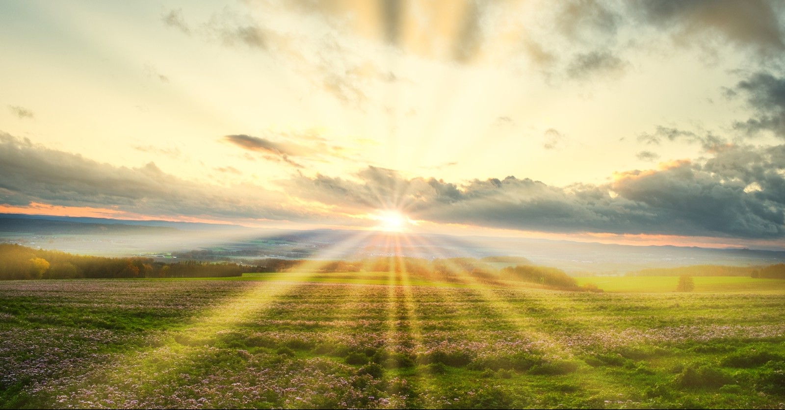How Does the Kingdom of God Shape the Future New Heaven and Earth ...