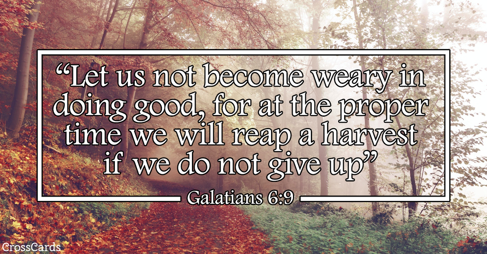 Galatians 6:10 - Therefore, as we have opportunity, let us do good ...
