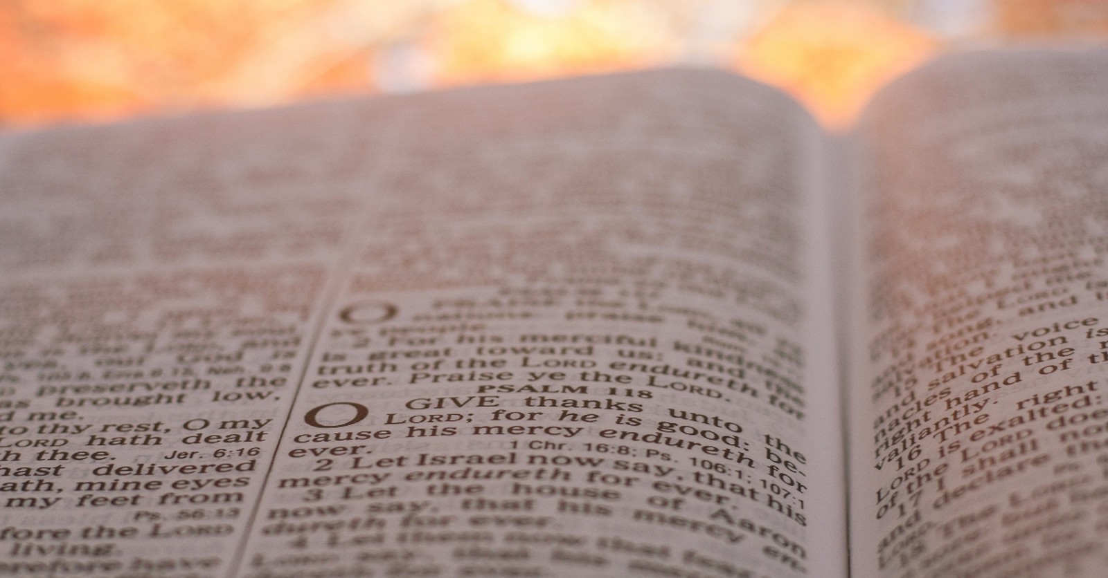 November Bible Verses: Daily Scriptures for the Month - Explore the ...