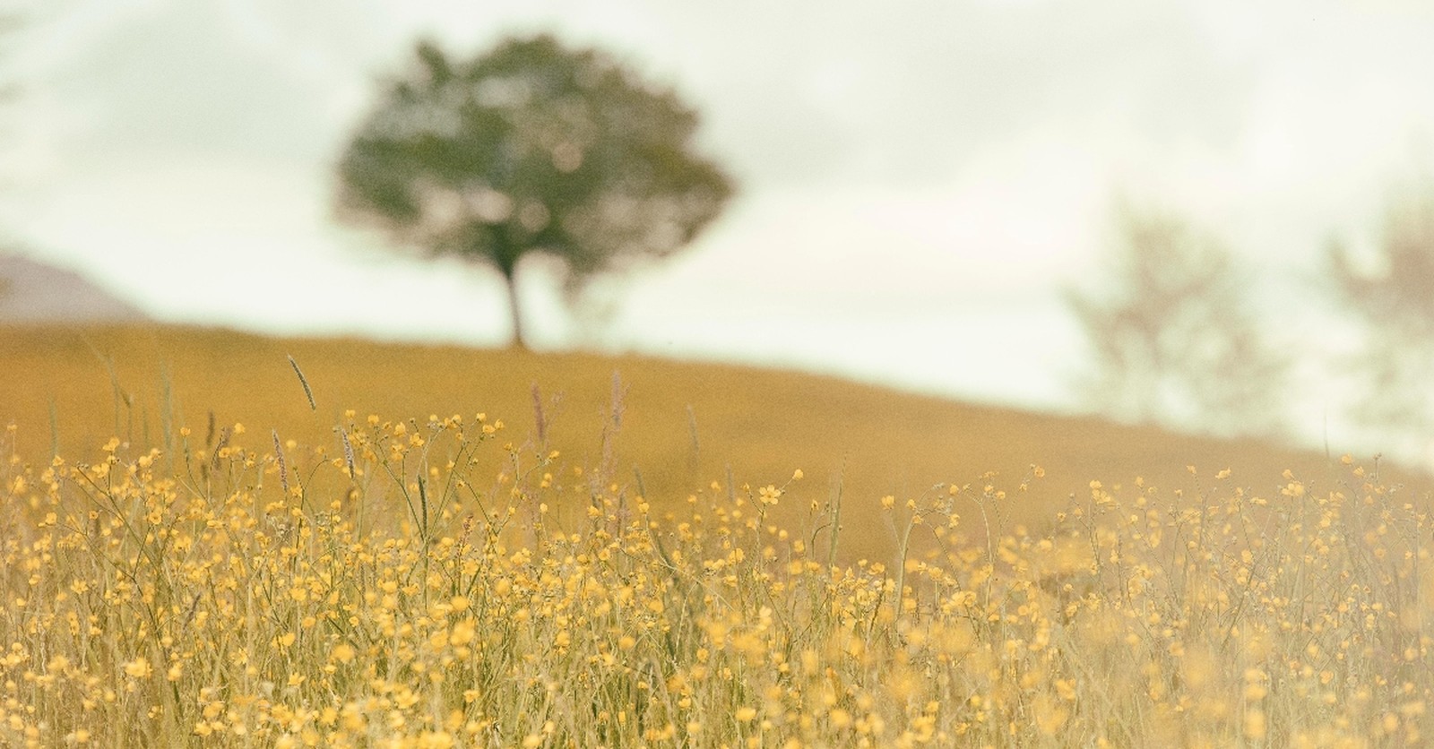 5 Biblical Reminders We Can Find in Nature - Topical Studies | Bible ...