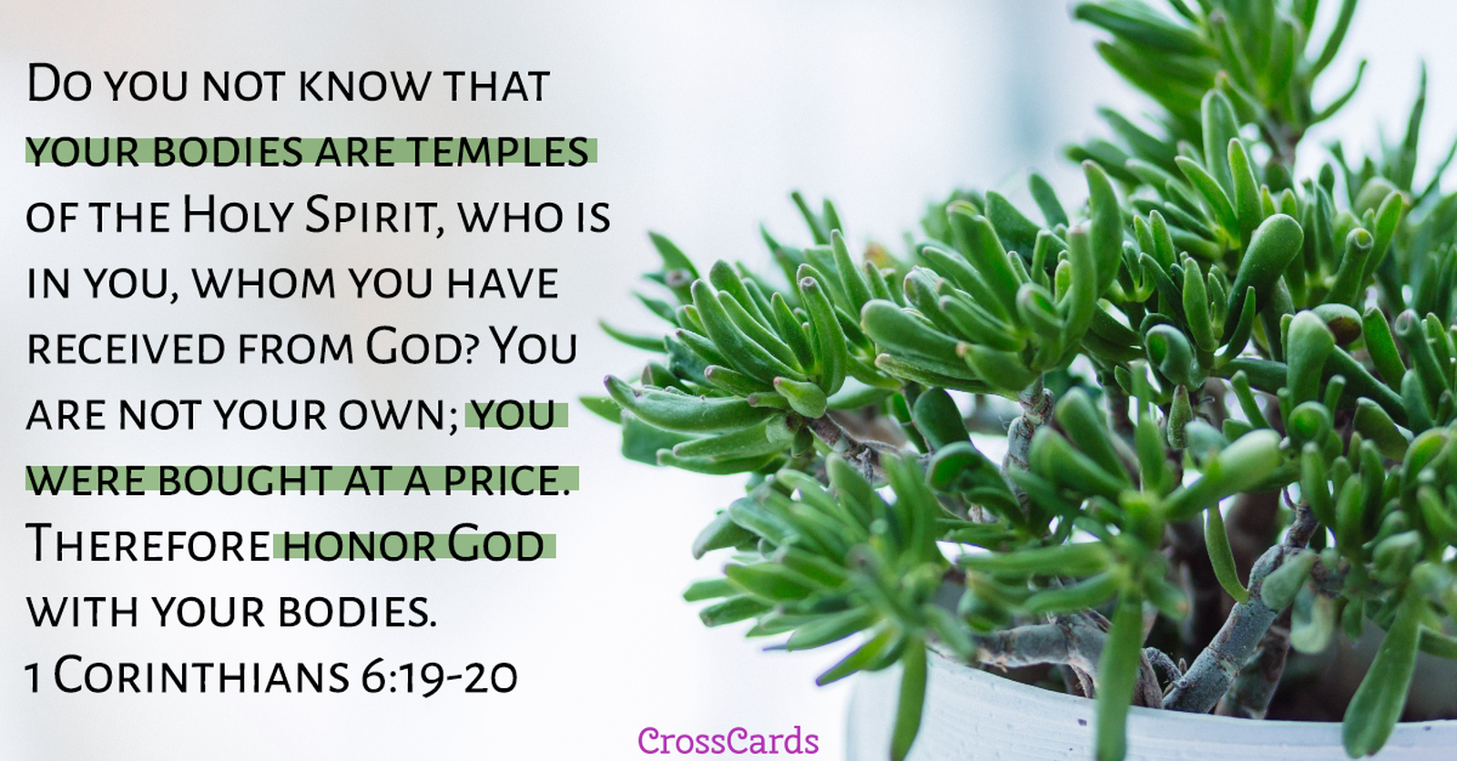 1 Corinthians 6:20 - you were bought at a price. Therefore honor God wi ...