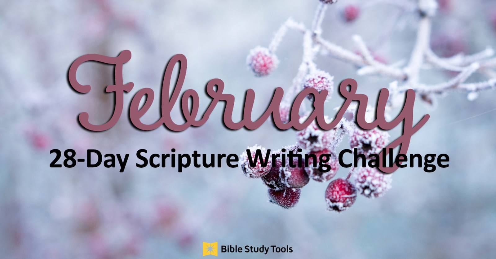 Bible Study Tips | Bible Study Tools
