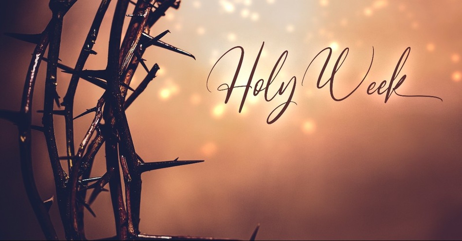 8-Day Holy Week Devotional to Prepare Your Heart for Easter | Bible ...